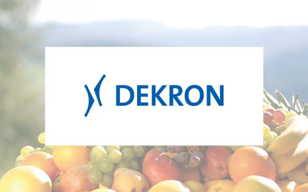 Dekron: die Krones Tochter für digitale Dekorationstechnik ...